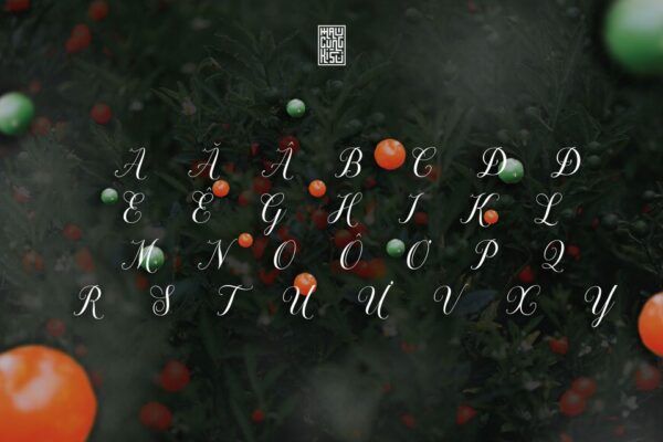 Fonttiengviet.com | Font Việt hóa MTD Brignola PUA Script - Fonttiengviet.com