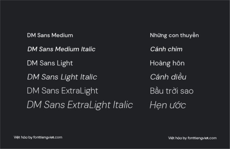 Fonttiengviet.com | [Shop font] Bộ 18 Font Việt hóa 1FTV VIP DM Sans - Fonttiengviet.com