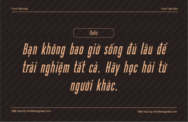 Fonttiengviet.com | [Shop font] 12 Font Việt hóa 1FTV VIP Da Bronx - Fonttiengviet.com